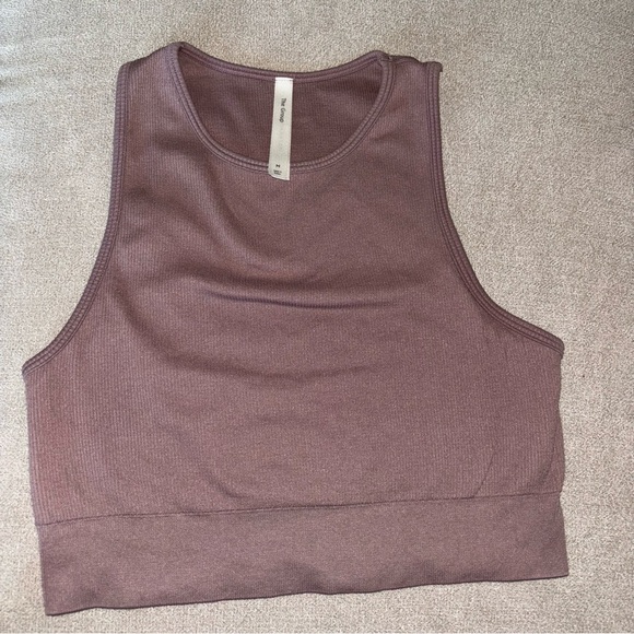Aritzia | Tops | Aritzia The Group By Babaton High Neck Cropped Tank ...